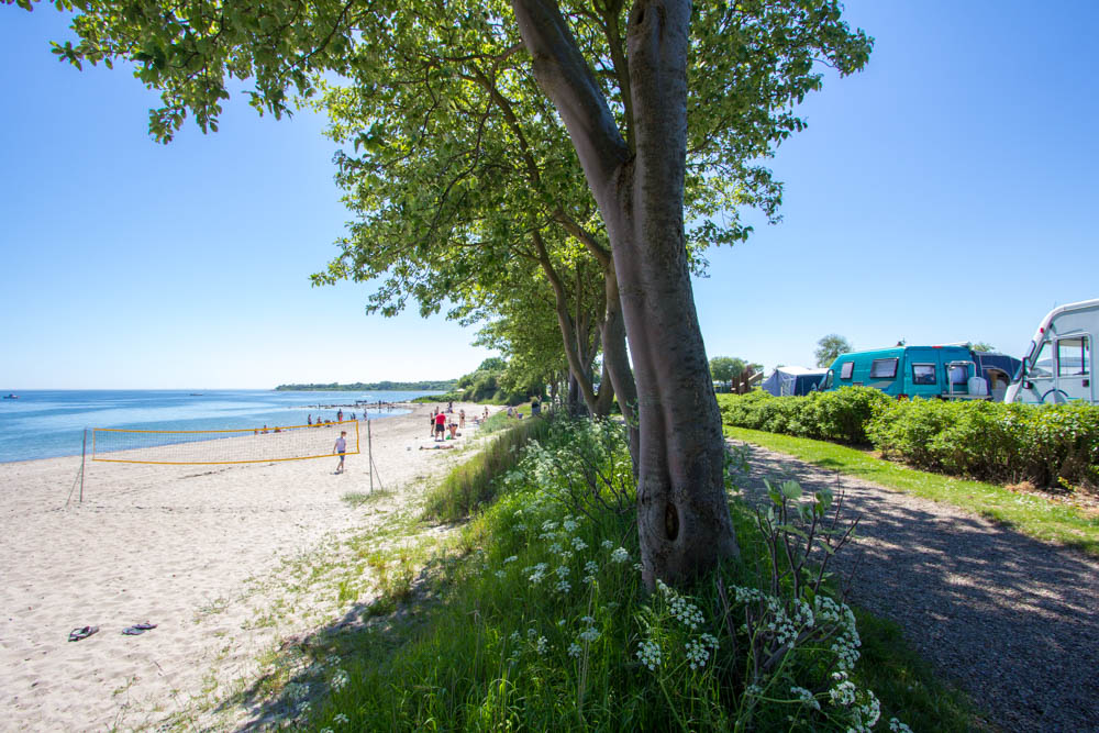 Campingurlaub in Dänemark mit Kindern - Hier Campingurlaub machen!